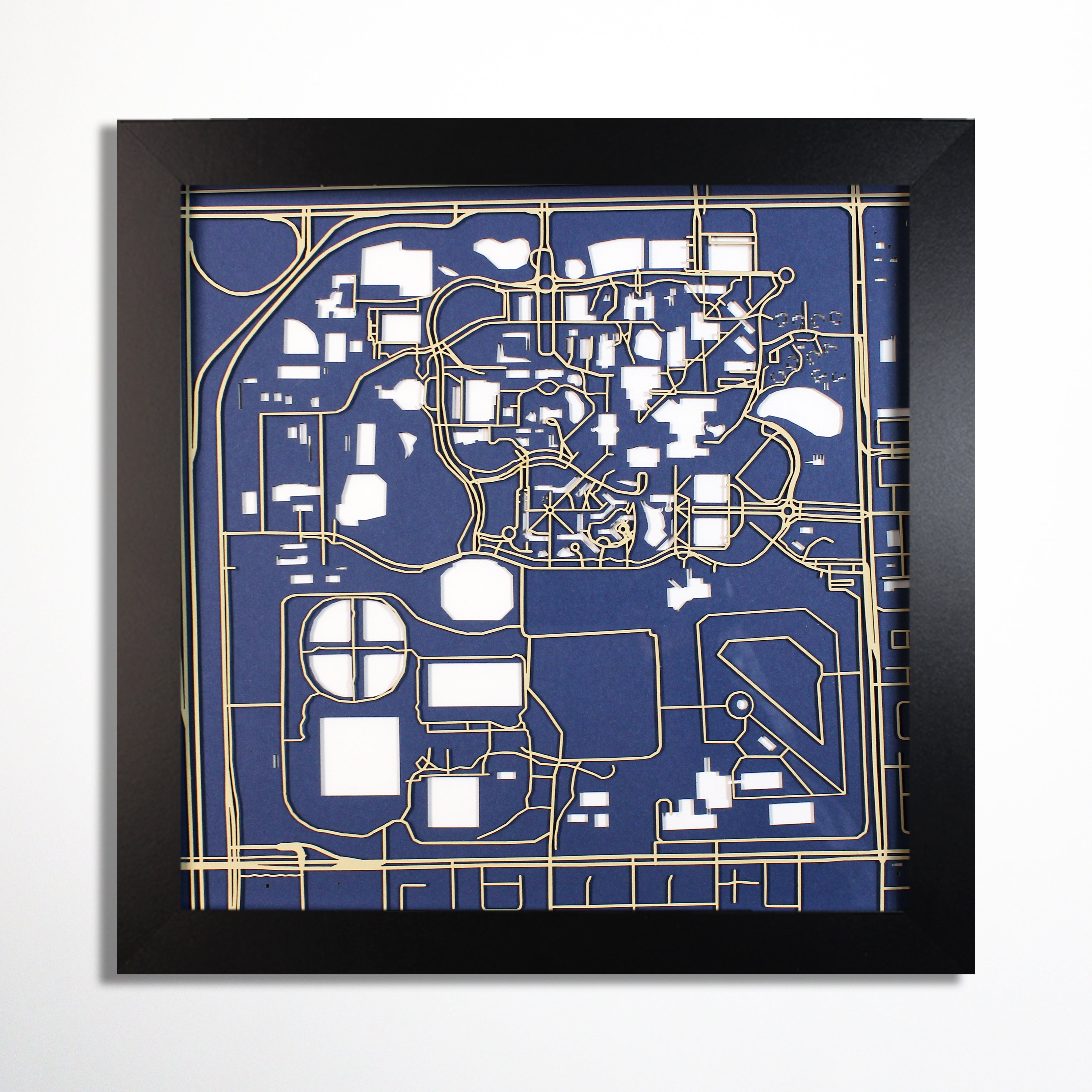 Florida International University Laser Cut Map – CarbonLight Laser Cut Maps